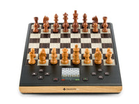 Shop Chess Sets by Chess House