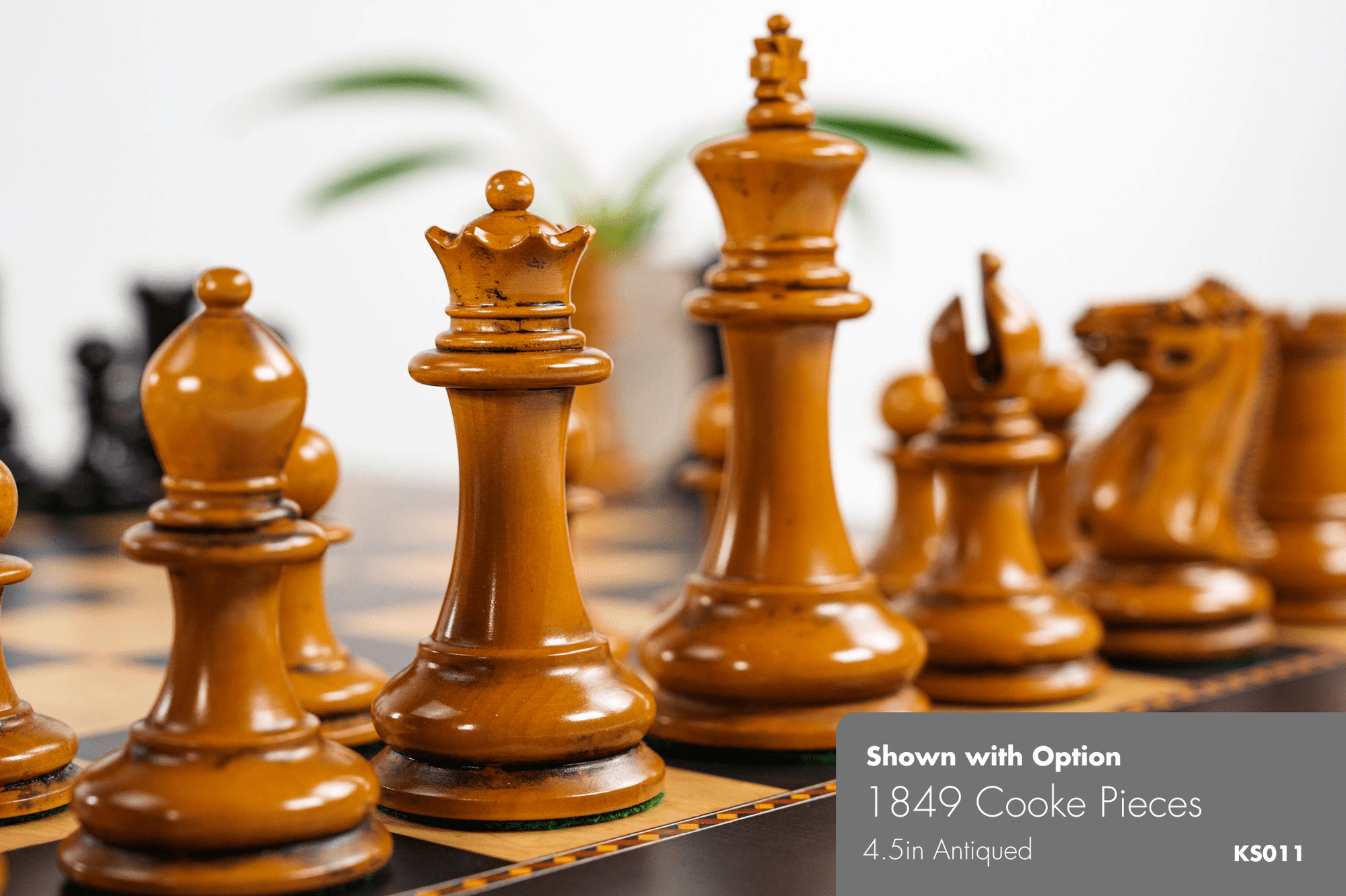 21.5" Queen's Gambit Chess Board (Original Design from Spain)