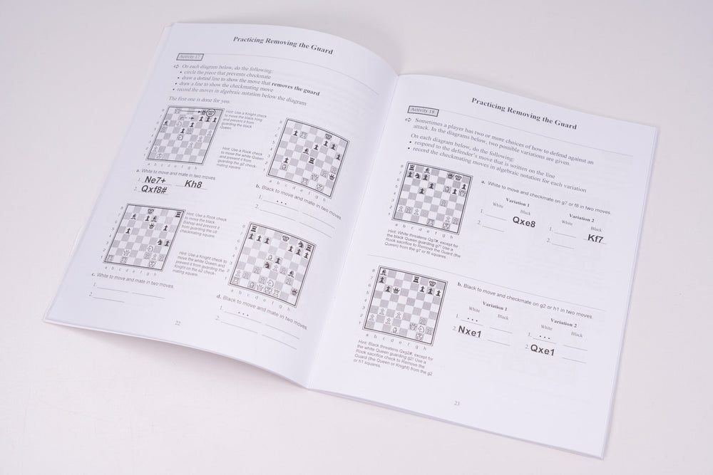Checkmate! Ideas for Students - Bain