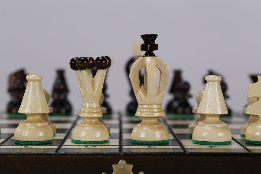2 in 1 Chess & Checkers Game Set
