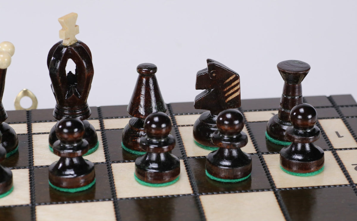 2 in 1 Chess & Checkers Game Set